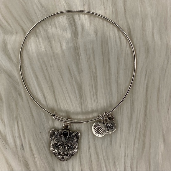 Alex and Ani | Jewelry | Alex And Ani Rafaelian Silver Crystal Wild Heart Charm Bangle Bracelet ...